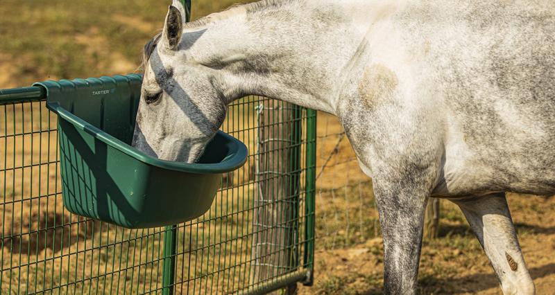 Portable Gate Feeders – Graham's Hay Sales