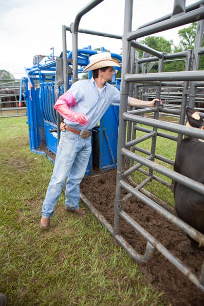 Rough Stock Open Preg Panel w/Sorting Gate – Graham's Ag Center