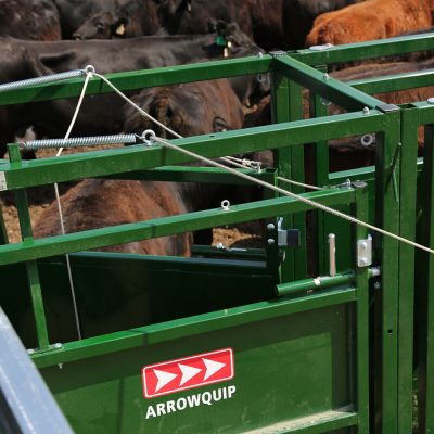 Cattle Sorting Alley – Graham's Hay Sales